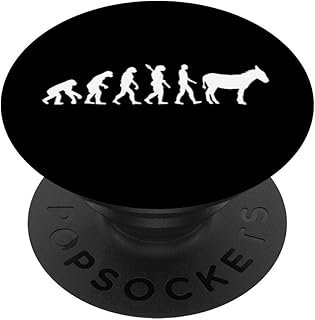 The Fascinating Origins Of Donkeys: Unveiling Their Ancestral History ...