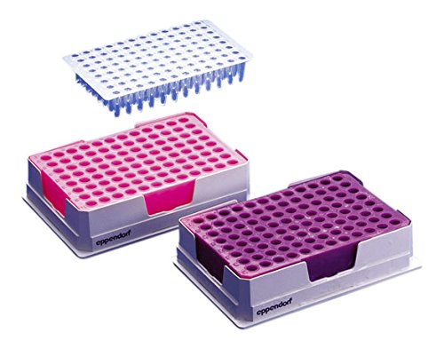 EPPENDORF 033185 Cryoblock rack PCR-Cooler blue and pink : Amazon.co.uk ...