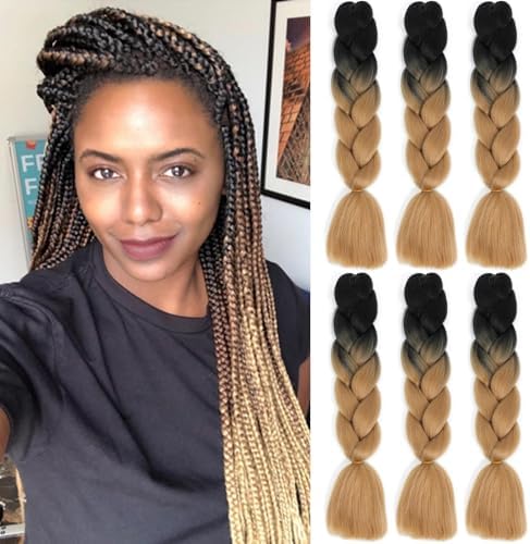 Amazon.com : Mclisle 3Packs Jumbo Braiding Hair 24 Inch Ombre Braid In ...