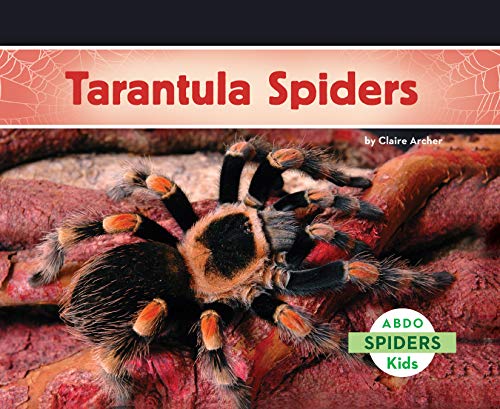 Tarantula Spiders, Guided Reading Level I: Archer, Claire ...