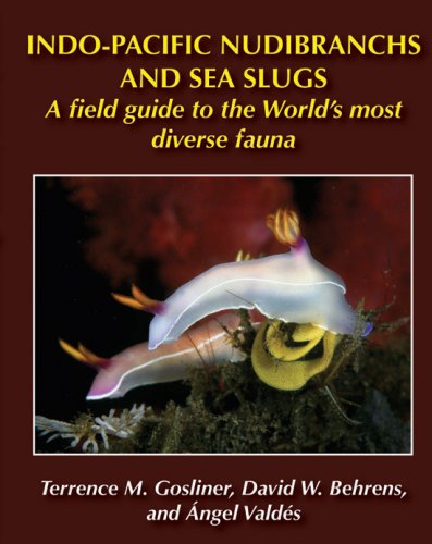 Indo Pacific Nudibranchs and Sea Slugs: Terrence Gosliner, David ...
