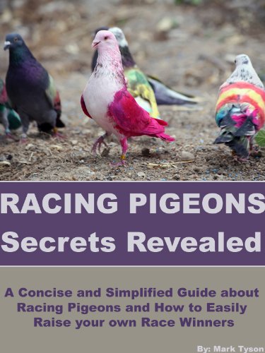 Racing Pigeons Secrets Revealed: A Concise and Simplified Guide about ...