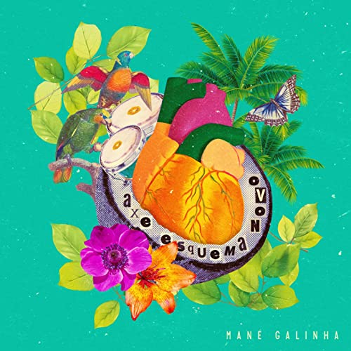 Play Axé Esquema Novo by Mané Galinha on Amazon Music