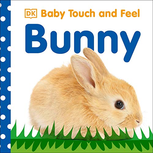 Adorable Bunny Books for Toddlers and Preschoolers