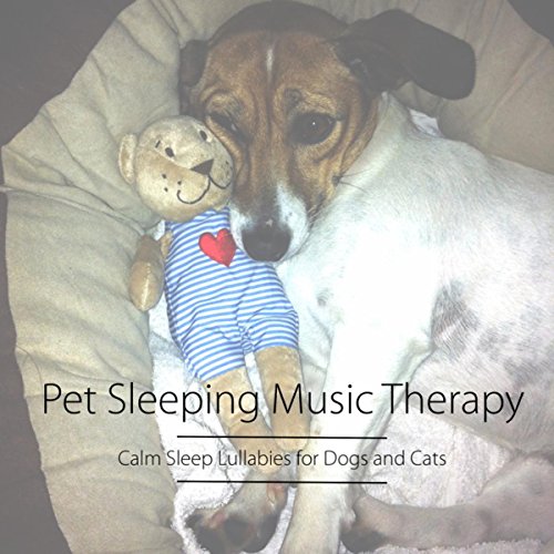 Amazon.com: Pet Sleeping Music Therapy: Calm Sleep Lullabies for Dogs ...