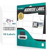 Amazon.com : 2x4 Labels Sticker Paper - 1000 Address Labels (100 Sheets ...