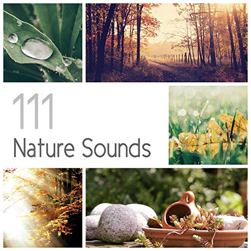 Play 111 Nature Sounds: Over 6 Hours Relaxation Therapy Music for Sleep ...