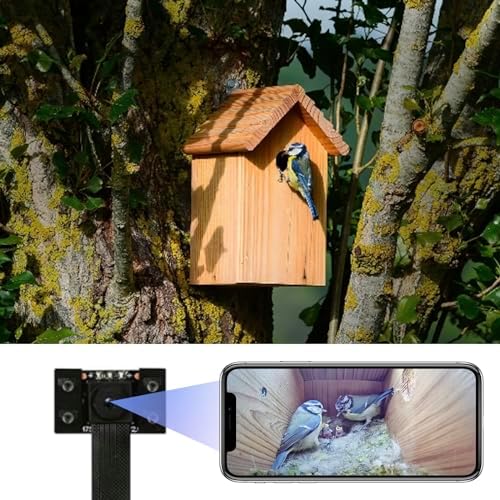 Amazon.com : WIWACAM WiFi Bird Box Camera, 4K HD WLAN, Live Video to ...