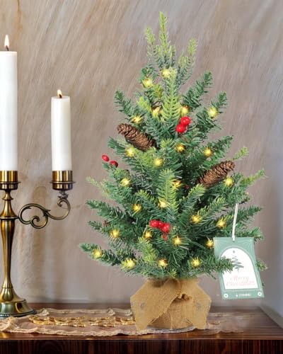 Amazon.com: 2FT Mini Christmas Tree - Prelit Small Tabletop Tree with ...