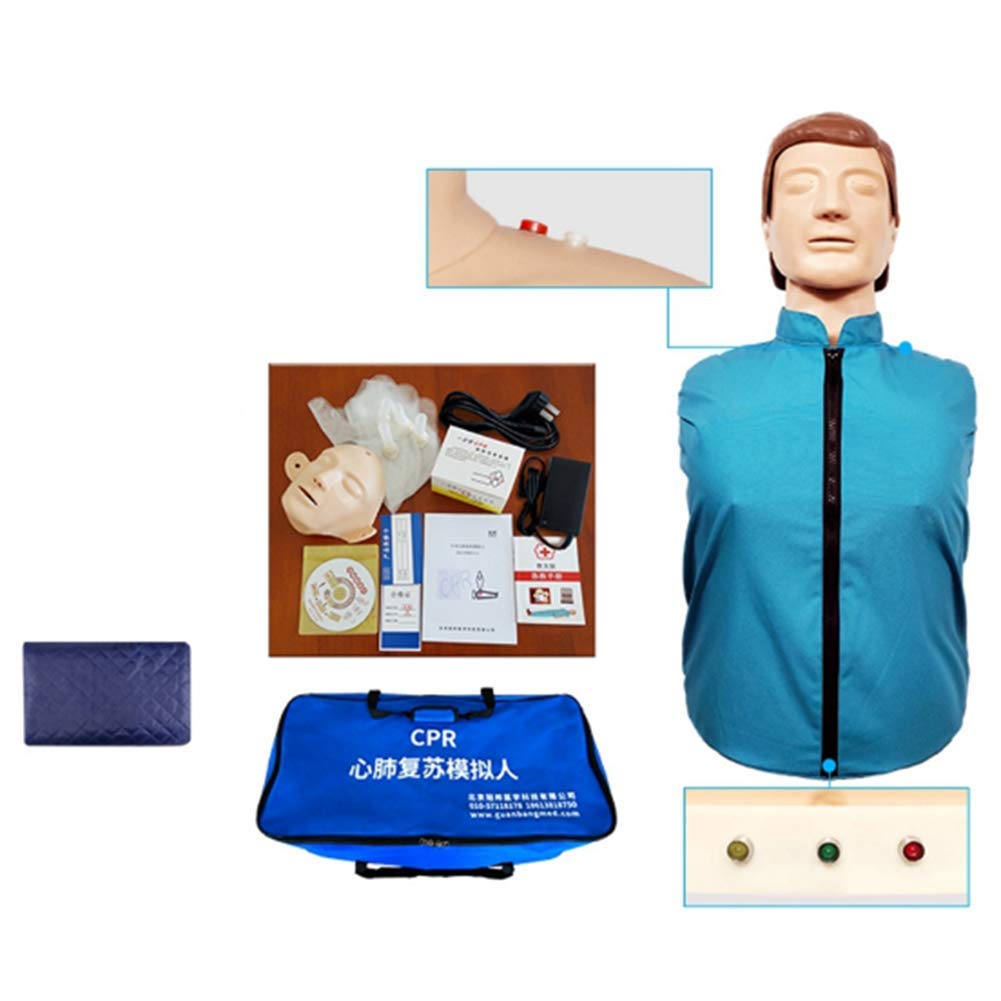 Buy Medical Professional Half Body Training Manikin Simulated Vital ...