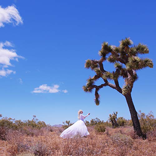 Play Joshua Tree by Jason Nutter & Jesika Von Rabbit on Amazon Music