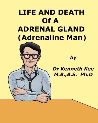 Life And Death of An Adrenal Gland (Adrenaline Man) (A Simple Guide to ...