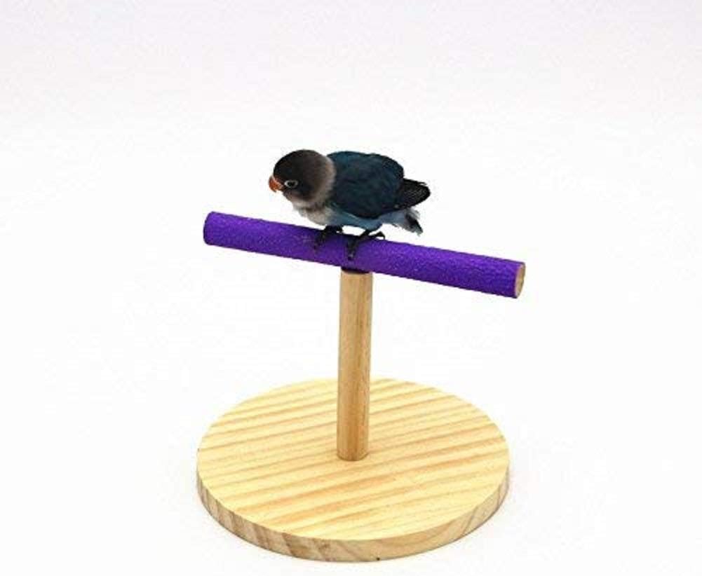 Amazon.com : Parrot Perch Bird Stand Natural Wood Quartz Sand Birdcage ...
