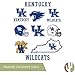 Amazon.com: University of Kentucky Wildcats UK Wildcats Sticker Vinyl ...