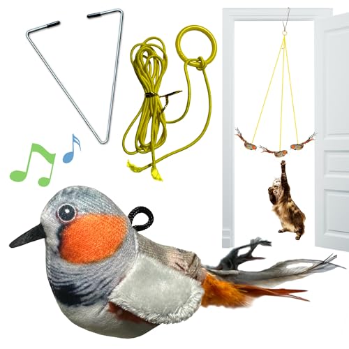 Cat Chirping – The 15 best products compared - Wild Explained