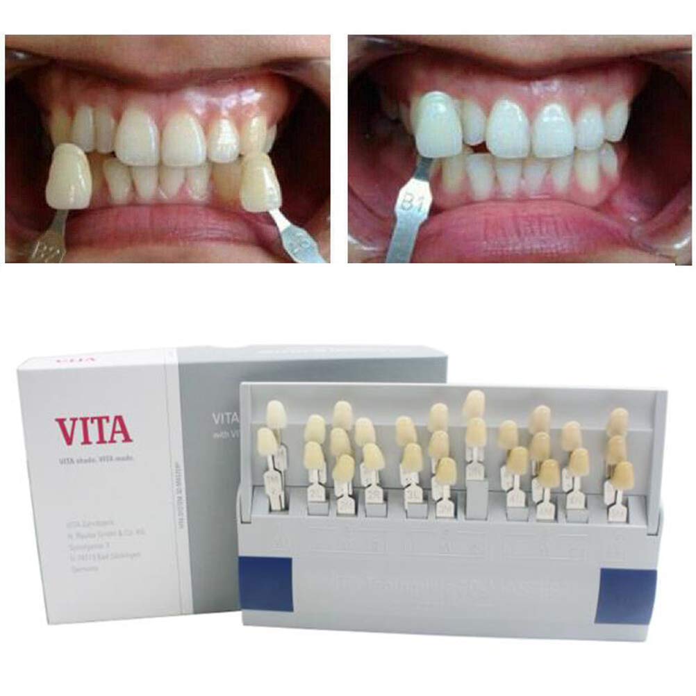 Buy 3D Dental Tooth Color Model Shade Guide, 29 Colors Professional ...