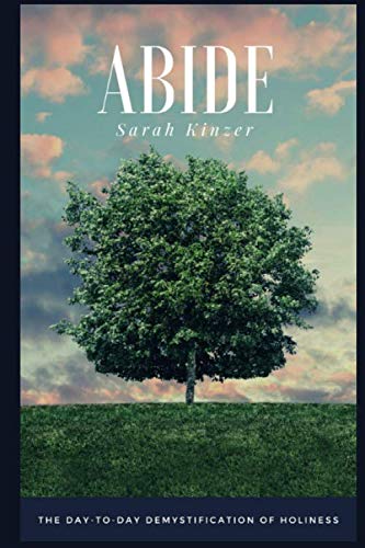 Abide: The Day-To-Day Demystification of Holiness: Kinzer, Sarah ...