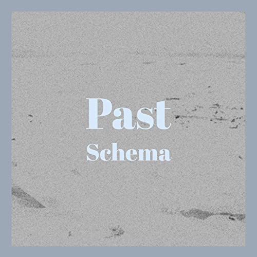 Amazon.com: Past Schema : VARIOUS ARTISTS: Digital Music
