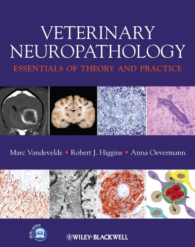 Veterinary Neuropathology: Essentials of Theory and Practice - Kindle ...