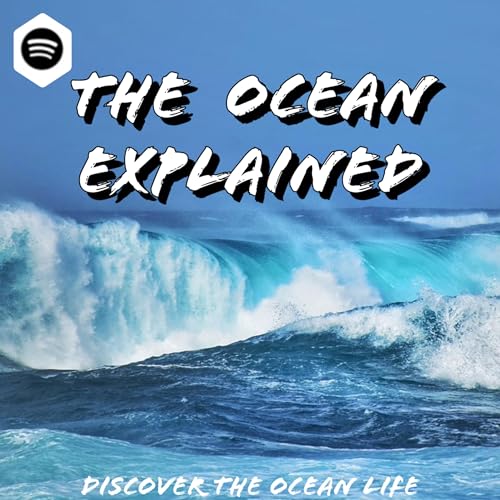 The Ocean Explained : Clément J.E.: Amazon.co.uk: Audible Books & Originals