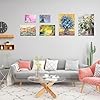 Amazon.com: Skyouths Canvases for Painting, 40x30,30x20, 20x15, 8 Set ...