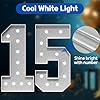 Amazon.com: Marquee Numbers Silver 15th-Birthday Decoration: 4FT Large ...