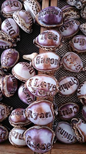 Amazon.com: 'Sawyer' Personalized Seashells Engraved. Names Engraved on ...