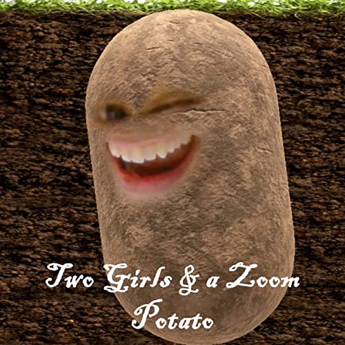 Two Girls and a Zoom Potato : New Lantern Media: Amazon.in: Audible ...