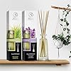 Amazon.com: Reed Diffuser Lemongrass and Lavender - 2x3.4 Fl Oz - Reed ...