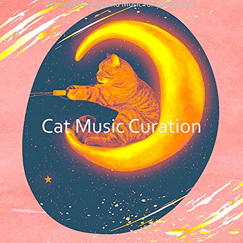 Opulent Background Music for Lonely Cats de Cat Music Curation en ...
