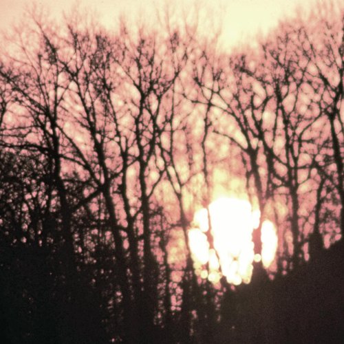 Play Seasons by duvid on Amazon Music Unlimited