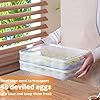 Amazon.com: 77L Deviled Egg Containers with Lid, (Set of 2), Plastic Egg Holder for Refrigerator ...