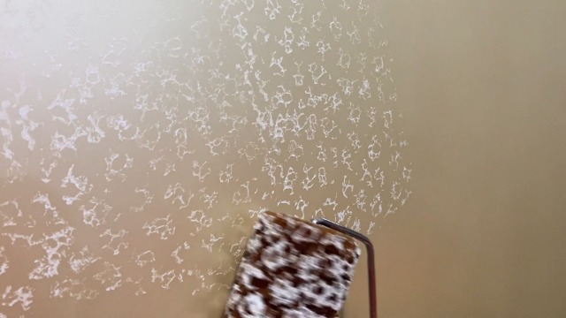 Watch How to use Hanroy Sponge Paint Roller M90FT on Amazon Live