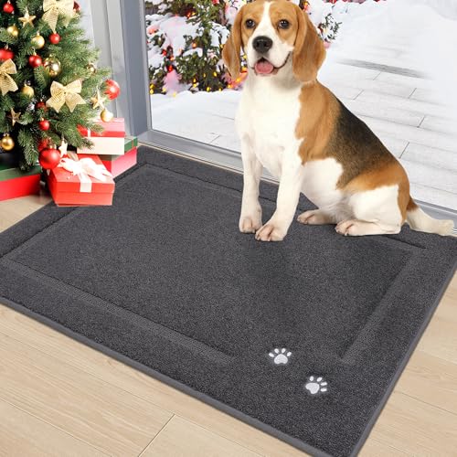 10 Best Mud Rugs For Dogs