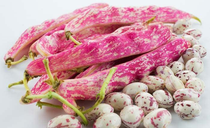 Tongues Of Fire Beans