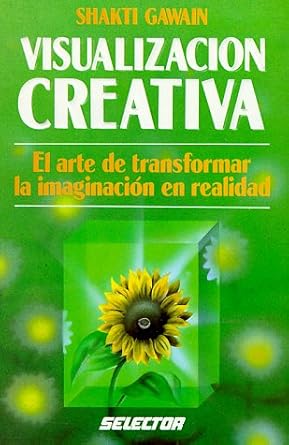 Visualizacion Creativa: Gawain, Shakti, Stevens, Monica: 9789684033092 ...
