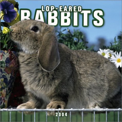 Buy 2004 (Lop-Eared Rabbits Wall Calendar) Book Online at Low Prices in ...