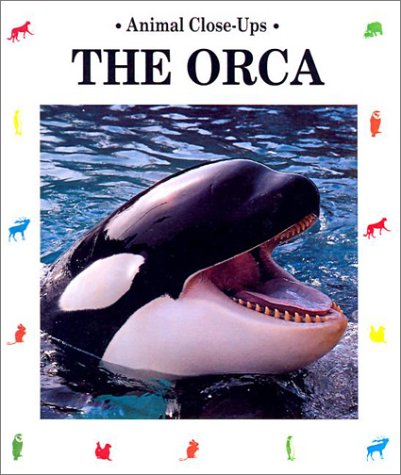 Orca : Admiral of the Sea: 9780613518680: Amazon.com: Books