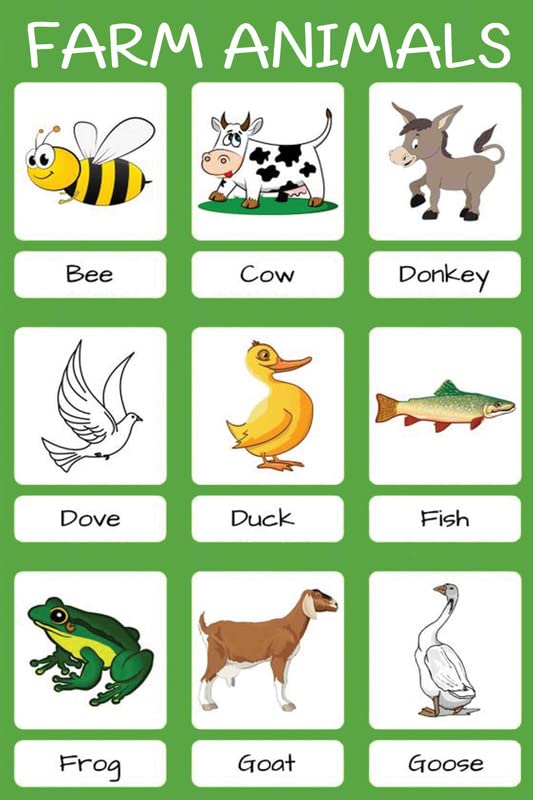 Kids Early Learning Poster for Decoration|Farm Animals|Kids Poster|Kids ...