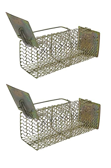 POPO Rat, Rodent, Mouse Trap/Catcher Iron Big Size - Ultimate Solution ...