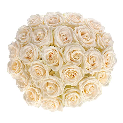 The Beauty and Significance of White Roses: A Guide to This Timeless ...