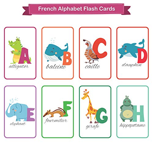 KIDSVILLE French Alphabets, Cursive Alphabets, Action Verbs, Country ...