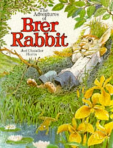 Brer Rabbit: Joel Chandler Harris: 9780856540417: Amazon.com: Books