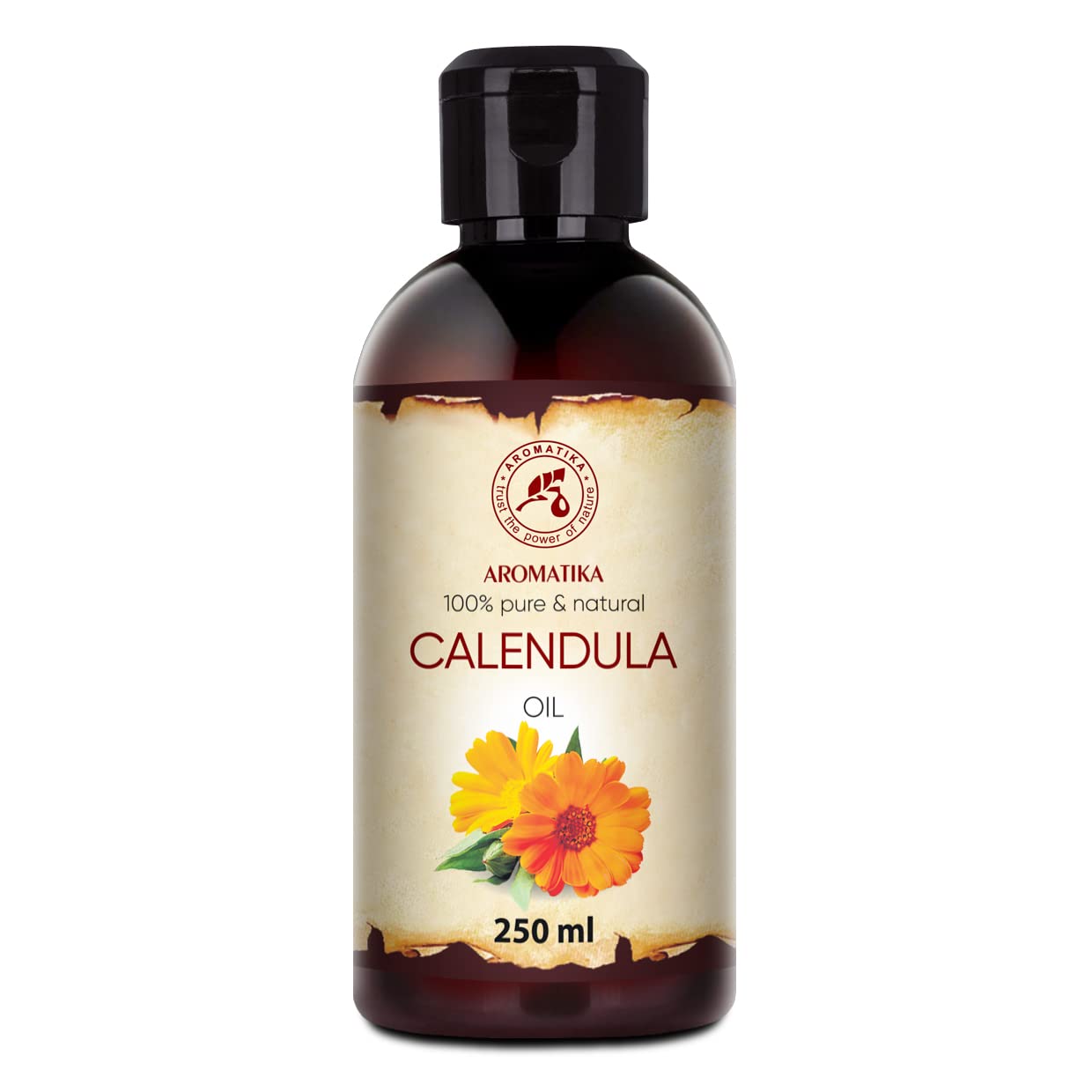 Amazon.com : Calendula Oil 8.5 Fl Oz (250ml) - Calendula Officinalis ...