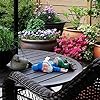 Amazon.com: 6.3'' Funny Drunk Garden Gnomes Outdoor Decorations Naughty ...