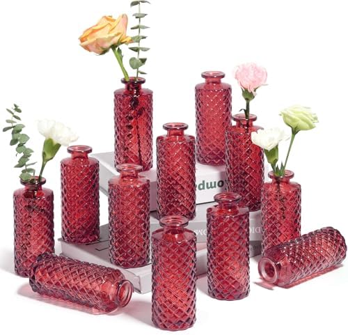 Amazon.com: Glass Bud Vases Set of 12 - Exquisite Bud Vases in Bulk ...