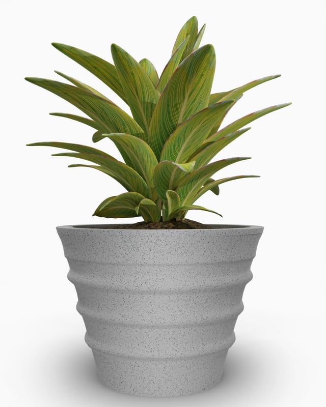 YUCCABE ITALIA Fox B 12 INCH Pots for Plants Highly Durable Polymers ...