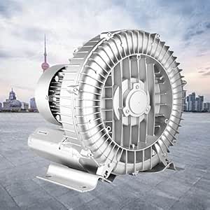 Regenerative Blower Vortex Gas Pump 110V 50Hz Single Phase Low Noise ...