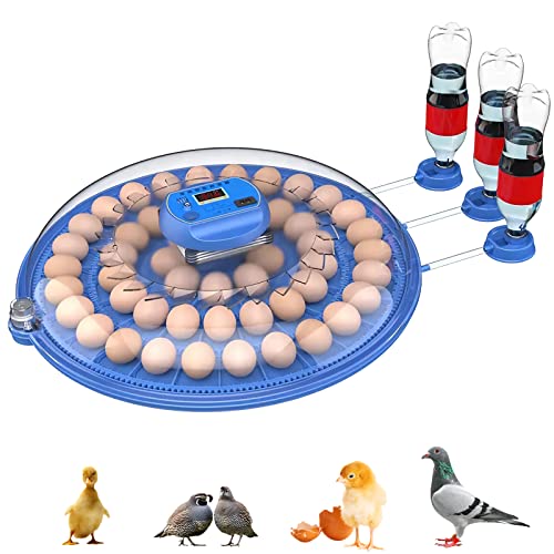 Top 10 Best Incubator For Goose Eggs : Reviews & Buying Guide - Katynel
