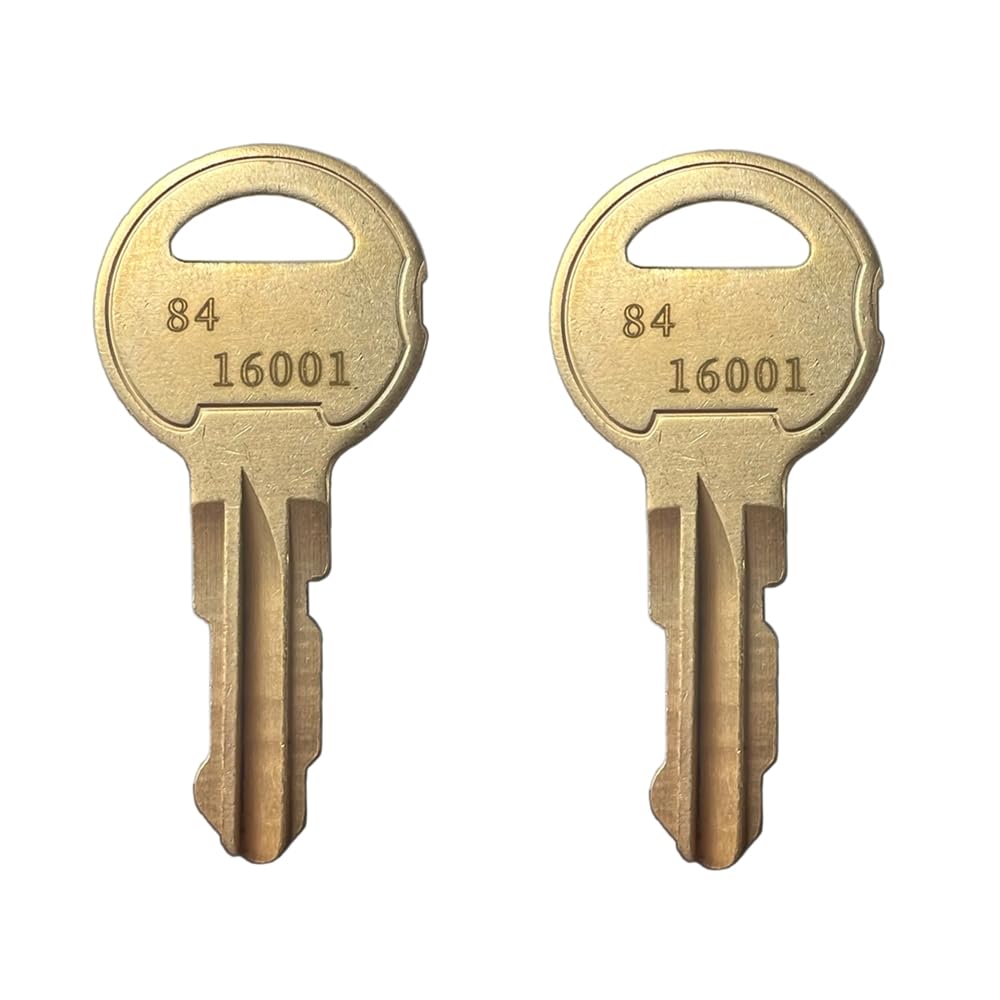KeyPower (2) 84-16001, 84 16001 Keys for DKS Doorking Lock 4001-055 ...